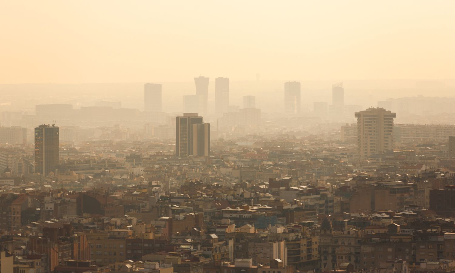Guide about urban pollution - Kunak