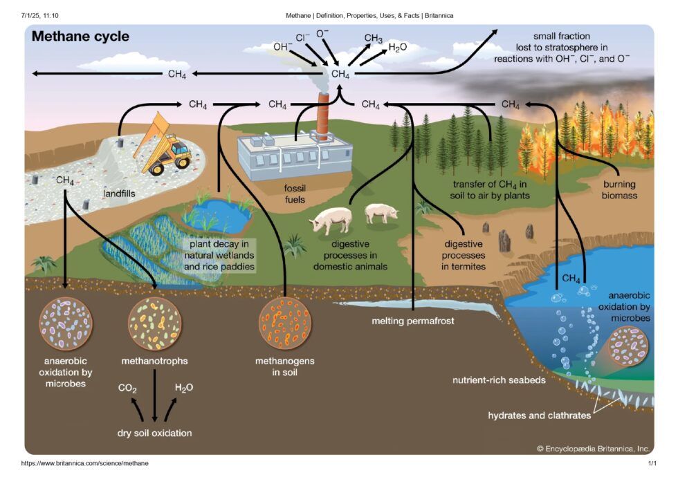 Contaminación por metano: impacto en el medio ambiente, la salud y ...